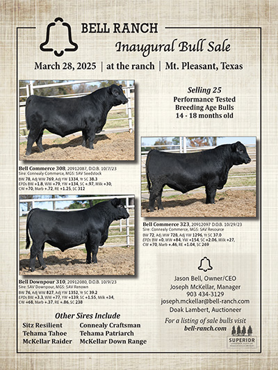 Bell Ranch